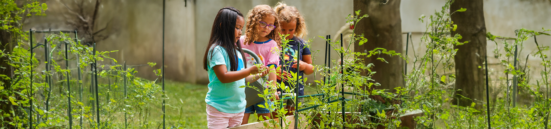 Girl Scouts and Outdoors