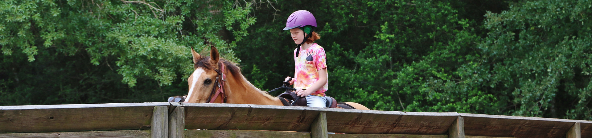 Summer Camp at Misty Meadows Ranch